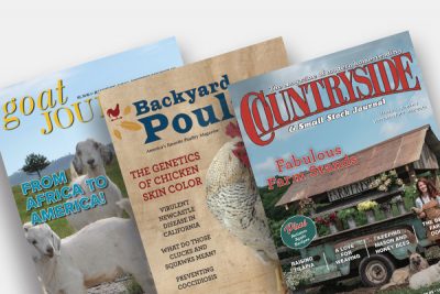 Meet Our Magazines - Countryside